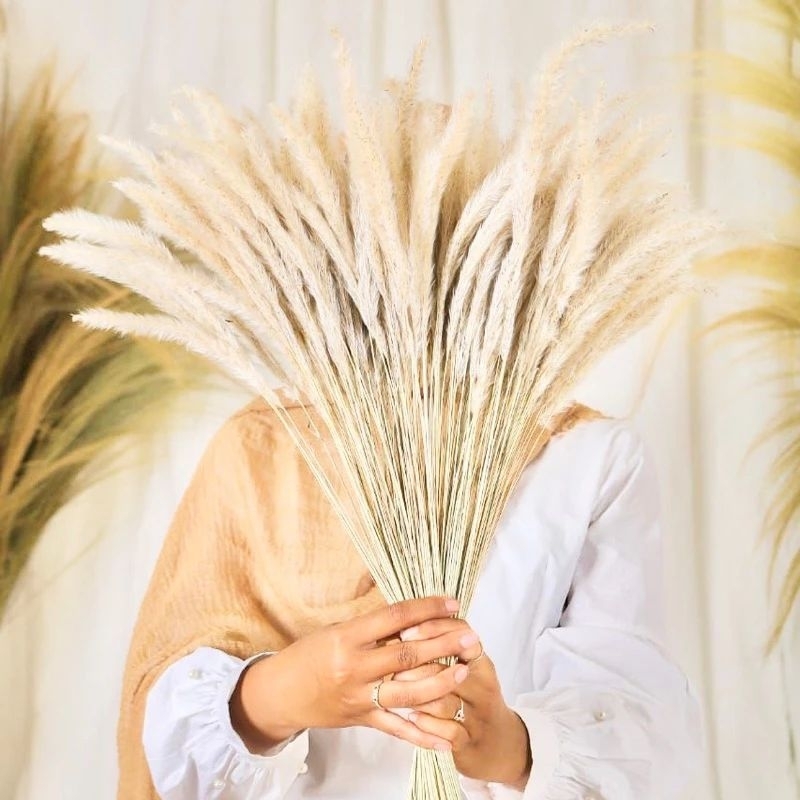 Jual BUNGA ILALANG DRIED FLOWERS | Shopee Indonesia