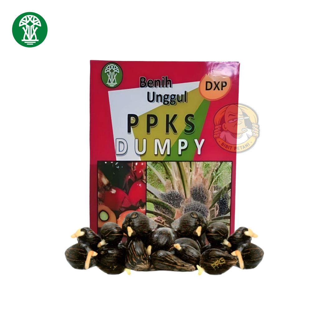 Jual BENIH POLONG KECAMBAH BIBIT SAWIT DXP PPKS DUMPY UNGGUL ...