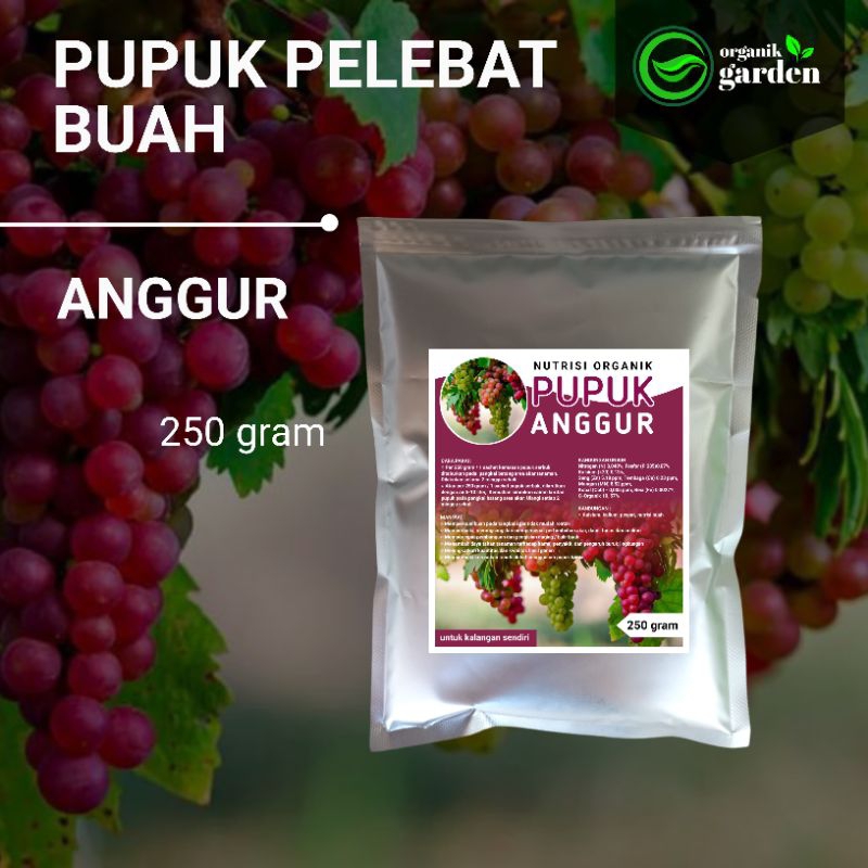 Jual pupuk pelebat buah ANGGUR | booster melebatkan secara maksimal 250gram | Shopee Indonesia