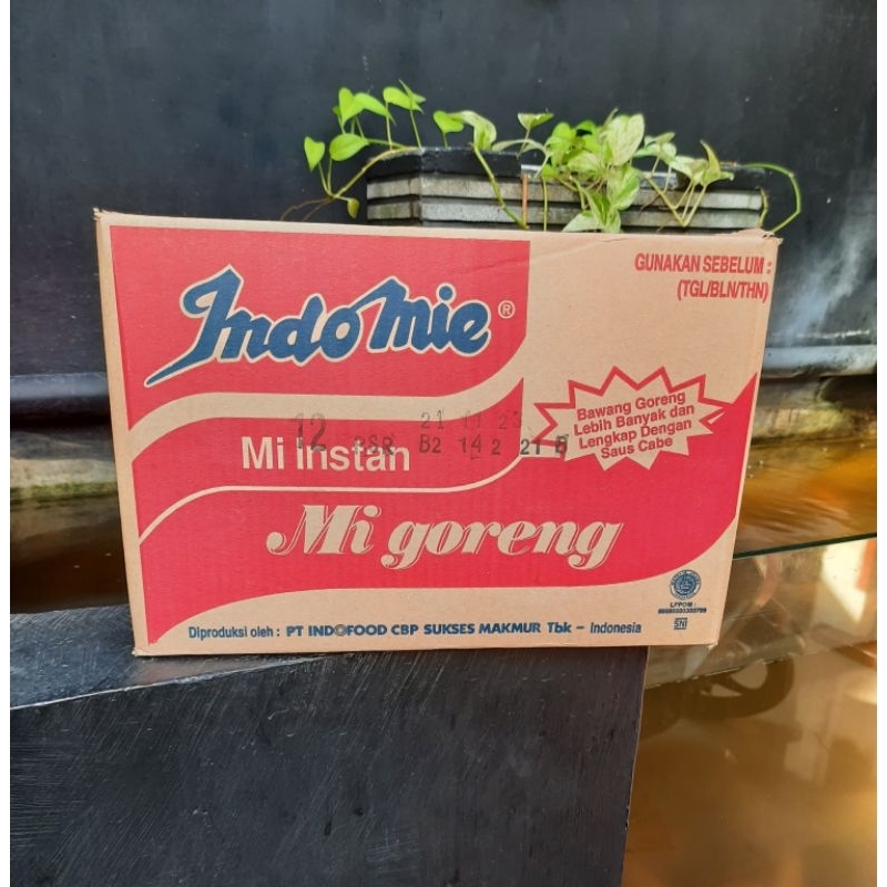 Jual Indomie Goreng Special (Karton) | Shopee Indonesia