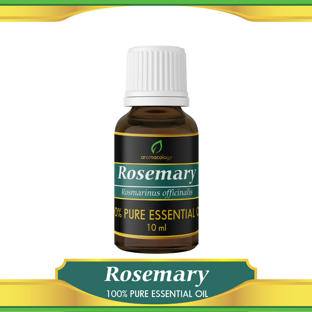 Jual Rosemary Essential Oil Aromaterapi Aromacology - 10ml | Shopee ...
