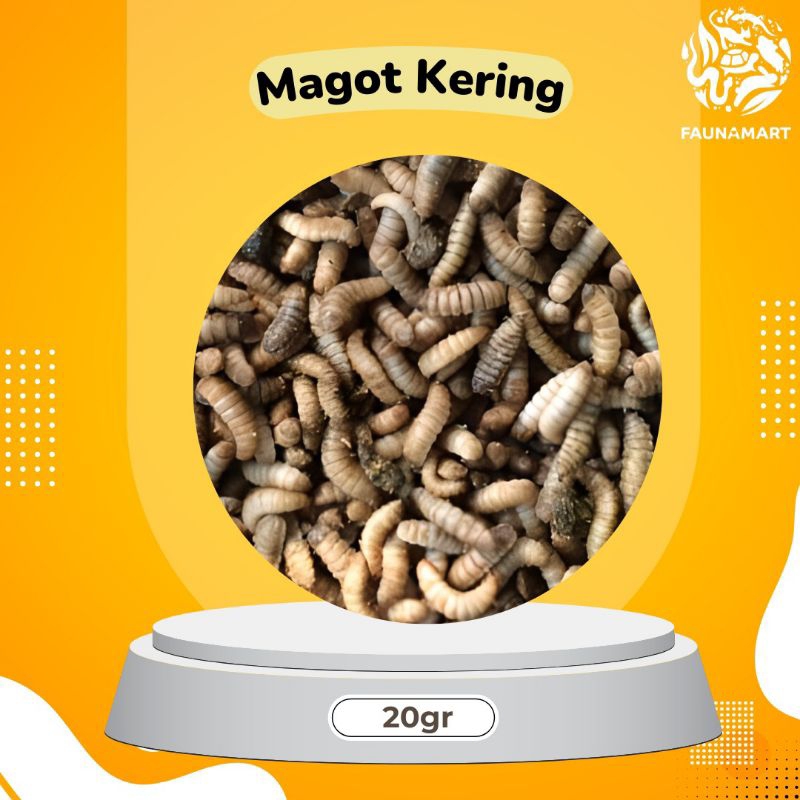 Jual Maggot BSF Kering / Magot 20 gr Fauna Mart | Shopee Indonesia