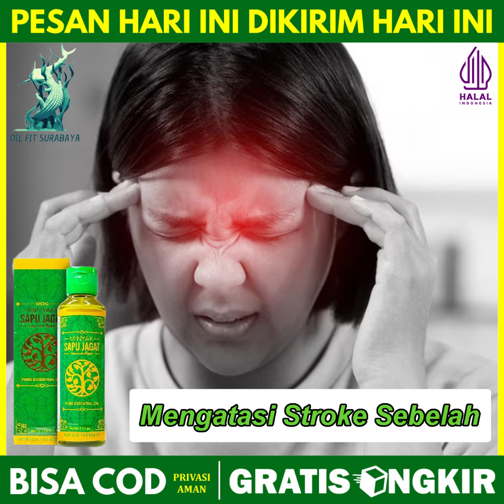 Jual Obat Stroke Sebelah Menahun Stroke Ringan Dan Berat Herbal 100% ...