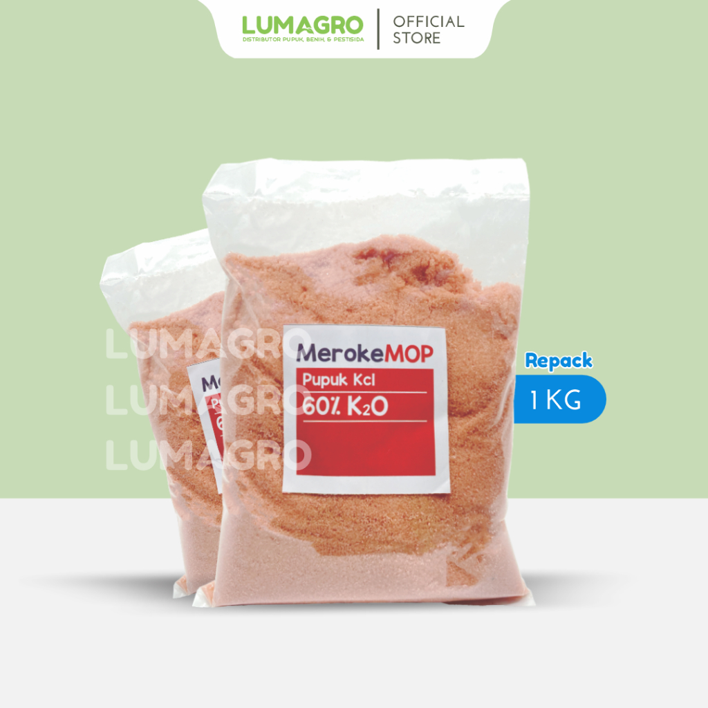 Jual Pupuk KCL Meroke MOP 1kg Repack Nutrisi Untuk Meningkatkan Bobot ...