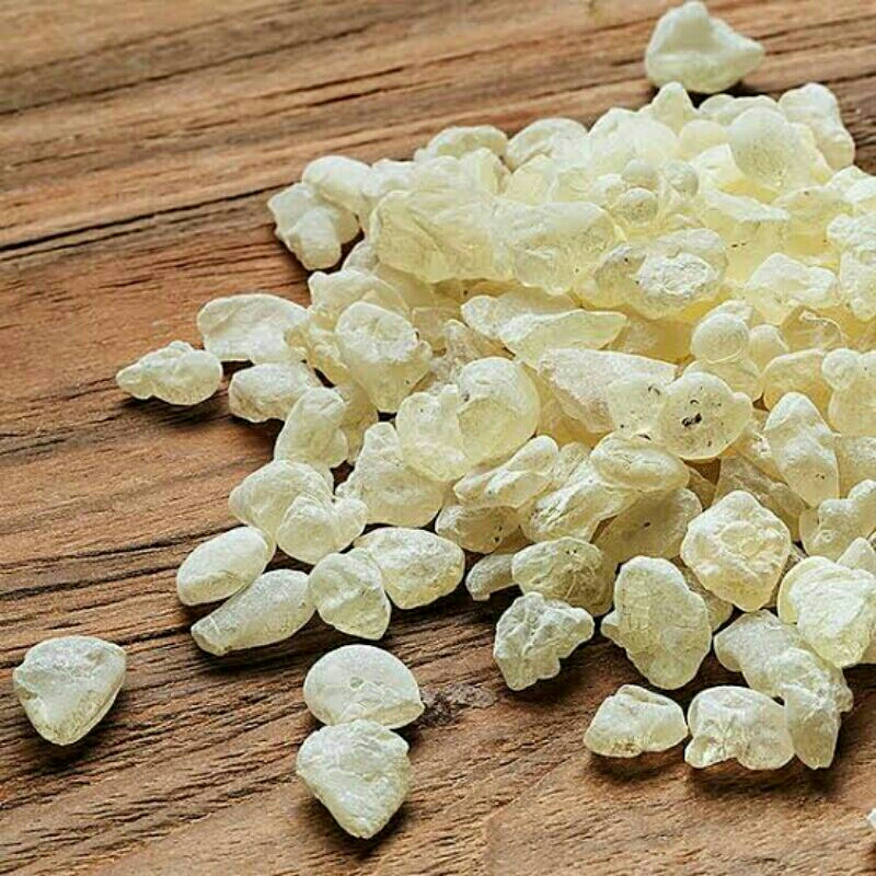 Jual Mastic Gum original natural Chios Yunani 25 gram | Shopee Indonesia