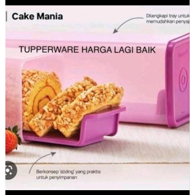 Jual TUPPERWARE Cake Mania ( 2 pcs ) | Shopee Indonesia