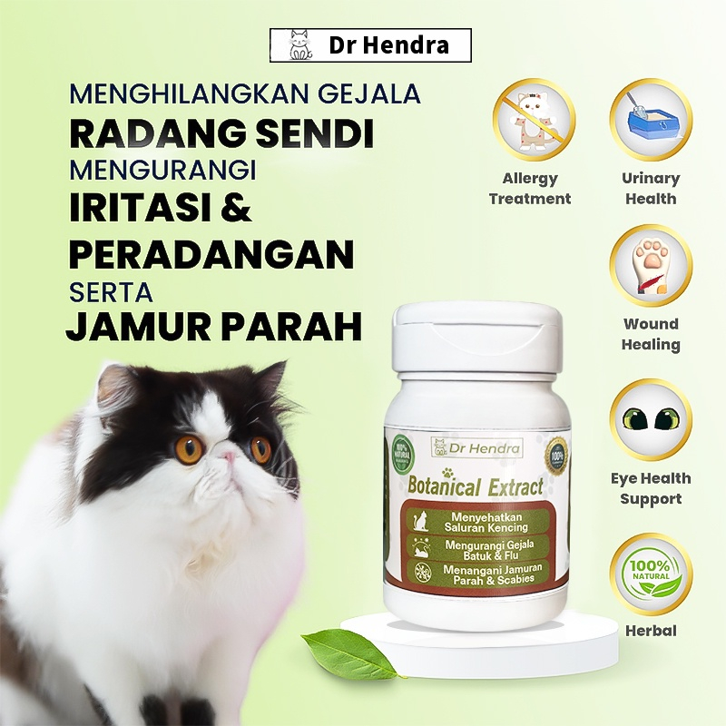 Jual 1 kapsul Vitamin Kucing Ekstrak Tumbuhan Obat Jamur Kucing Obat ...