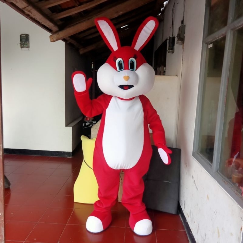 Jual KOSTUM BADUT TERMURAH BEST SELLER | Shopee Indonesia