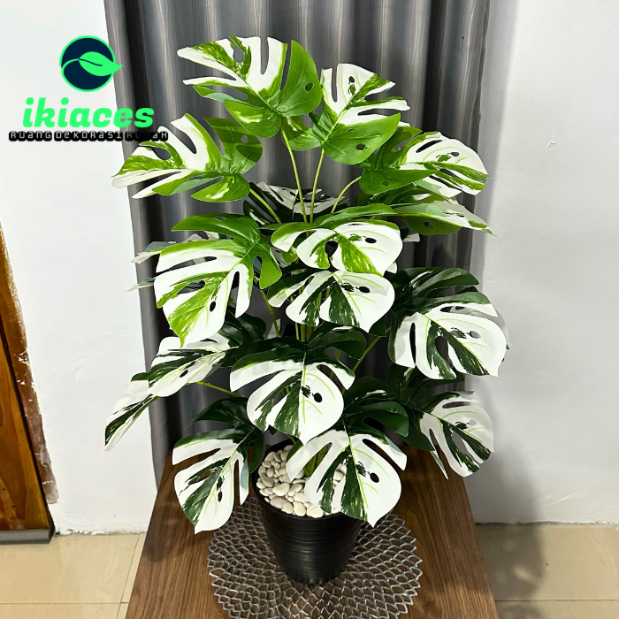 Jual DAUN MONSTERA CORAK 24 DAUN PLASTIK JUMBO MONSTERA ARTIFICIAL ...