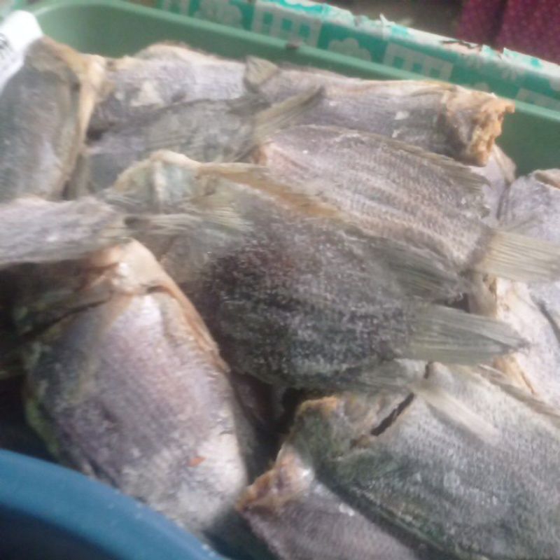 Jual Ikan Asin Murah Harga 5000 Cumi Asin Teri Jengki Peda Merah Bulu ...