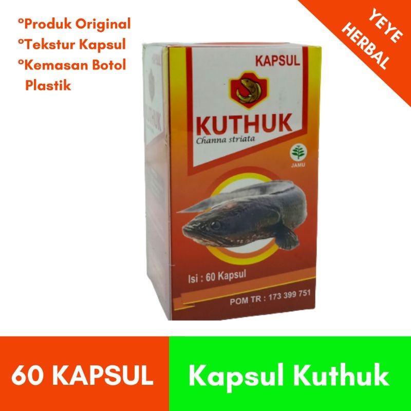 Jual Makkata Kapsul Kuthuk Kutuk Ikan Gabus Asli Premium Herbal Penyembuh Pengering Luka Pasca ...