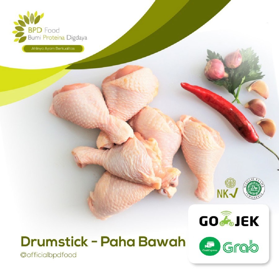 Jual DRUMSTICK - PAHA AYAM BAWAH (PENTUNG) - 500GR HALAL PREMIUM ...