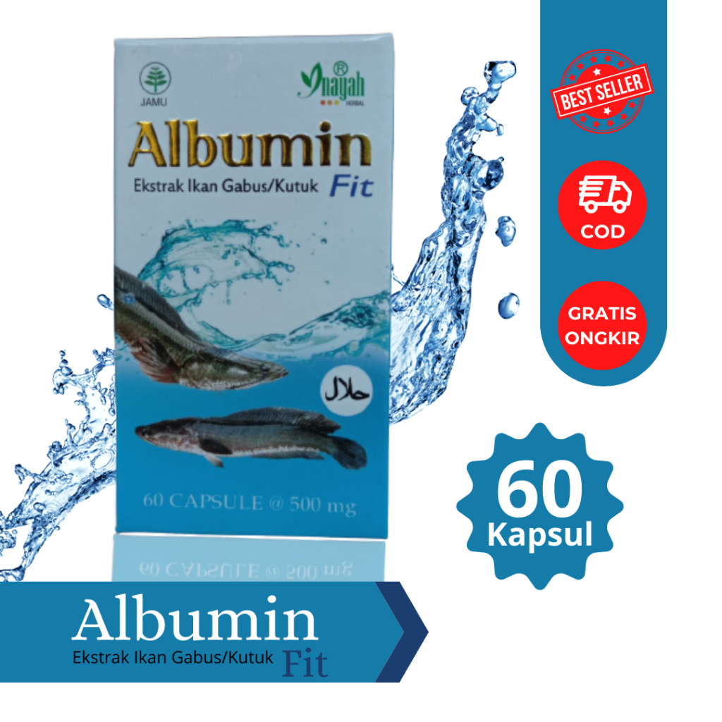 Jual Albumin Fit ikan gabus Inayah - Meningkatkan daya tahan tubuh ...