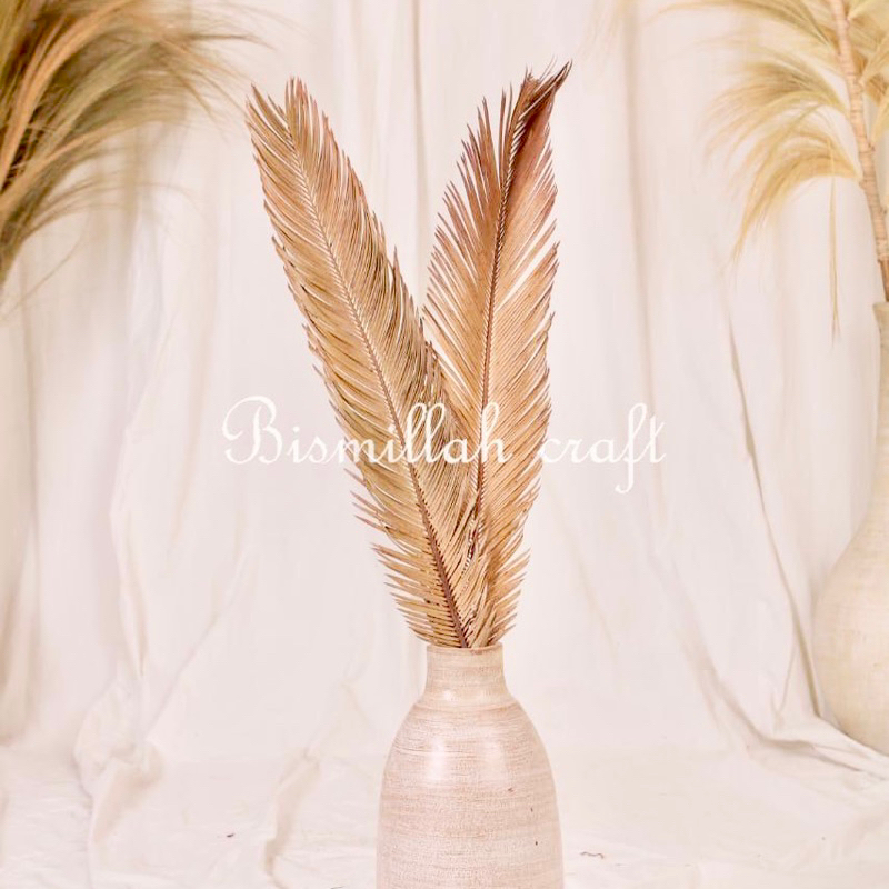 Jual DEKORASI RUSTIC SIKAS Dekorasi Rustik Tanaman Daun Kering Sikas ...