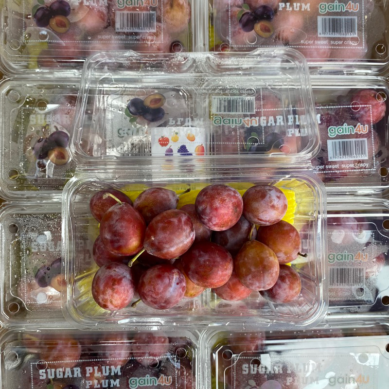 Jual Buah Plum Sugar Plum Manis Pack | Shopee Indonesia