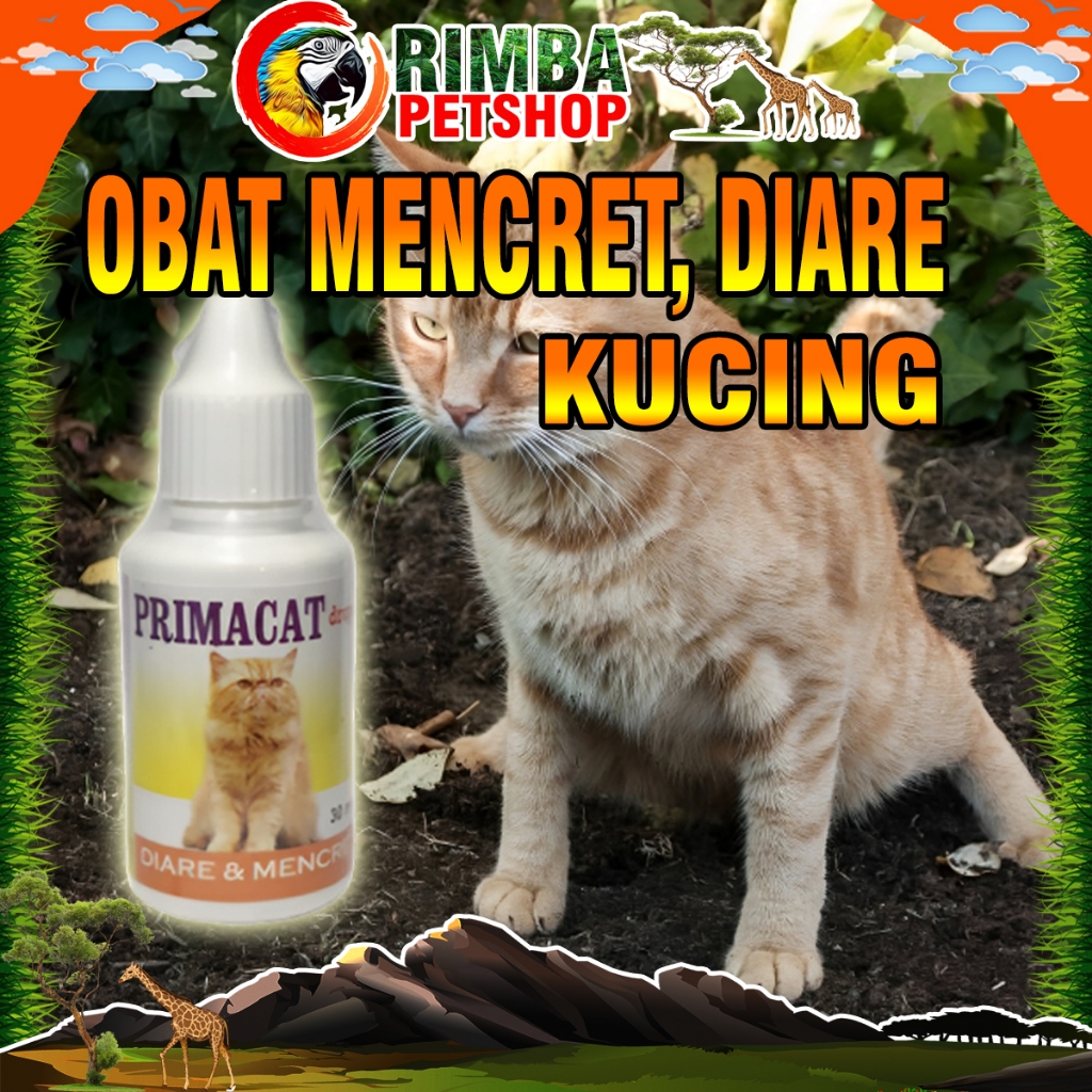 Jual Primacat Obat Diare Untuk Kucing Basmi Semua Penyebab Diare / Obat ... Jual Primacat Obat Diare Untuk Kucing Basmi Semua Penyebab Diare / Obat ...