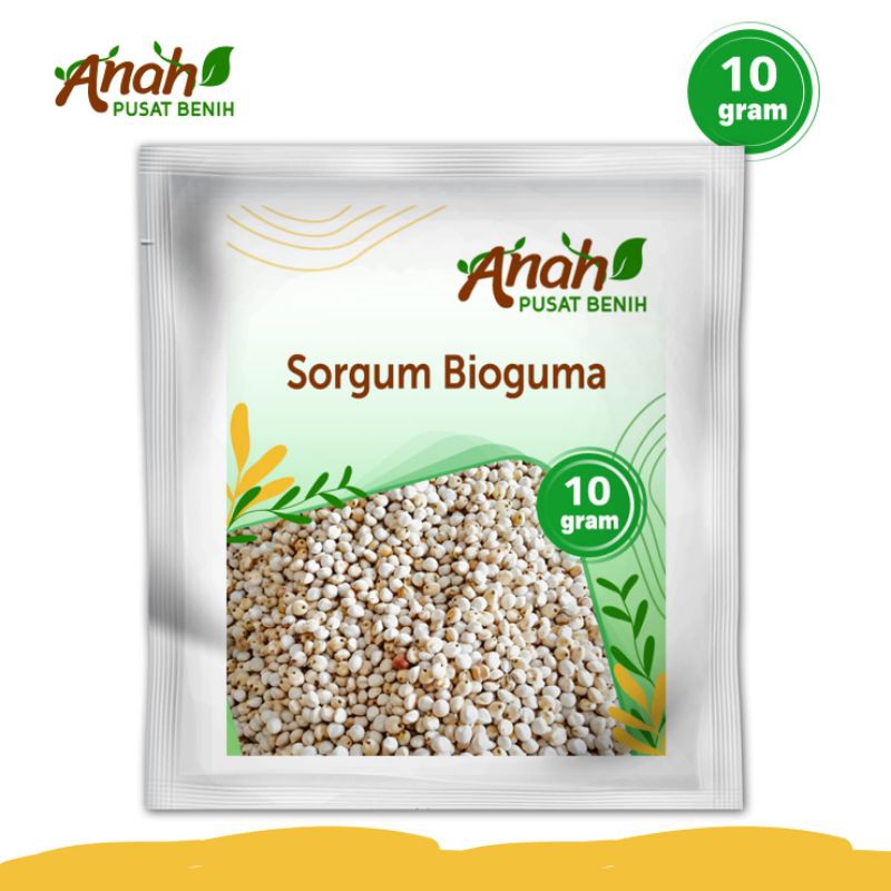 Jual Benih sorgum bioguma 10 gram / bibit pakan ternak | Shopee Indonesia
