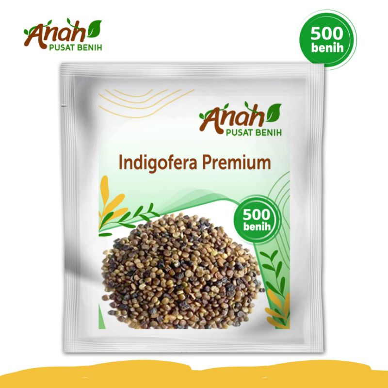 Jual Benih Indigofera premium 500 benih / bibit pakan ternak | Shopee ...