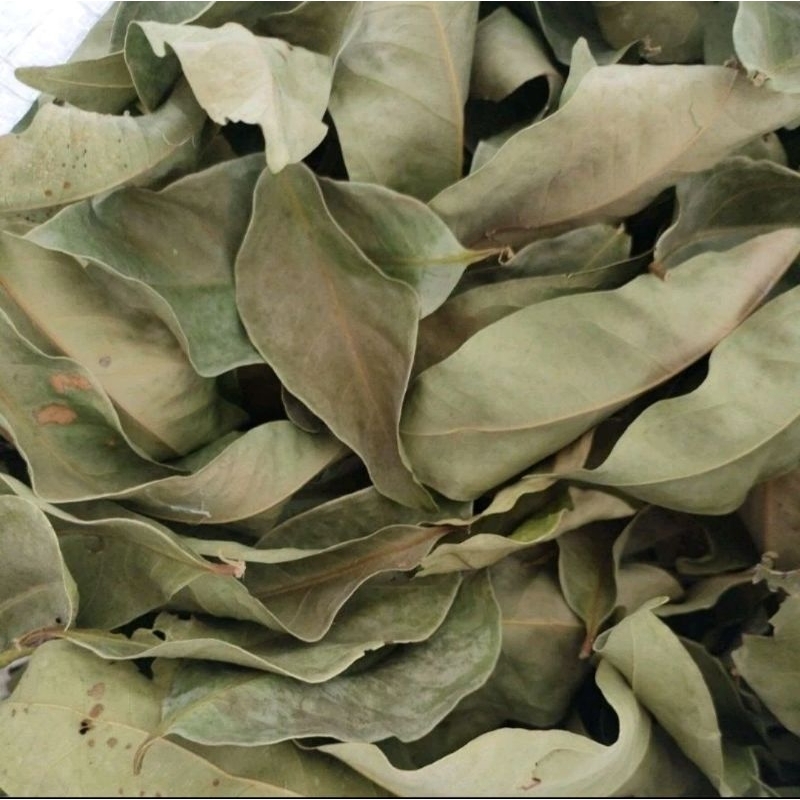 Jual Daun Salam Kering 20 gram/Daun Salam Kering/Daun Salam | Shopee Indonesia
