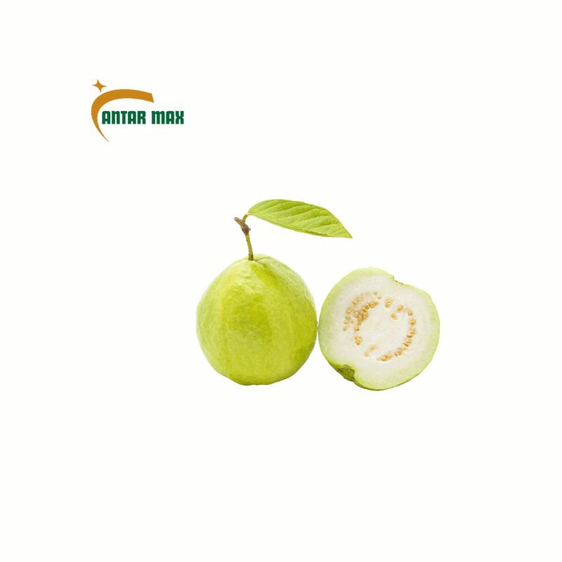 Jual jambu putih Cristal lokal 1kg | Shopee Indonesia