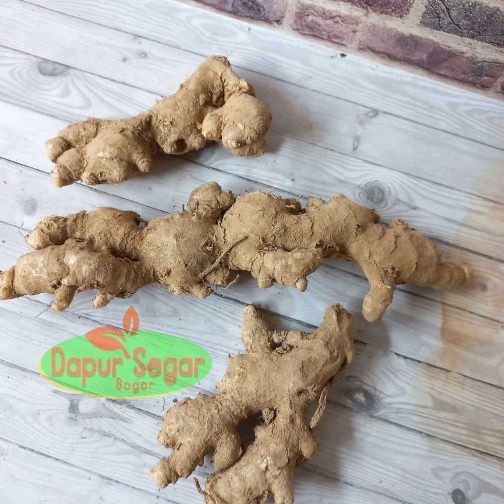 Jual Jahe Emprit 1kg JAWA SANGAT PEDAS | Shopee Indonesia