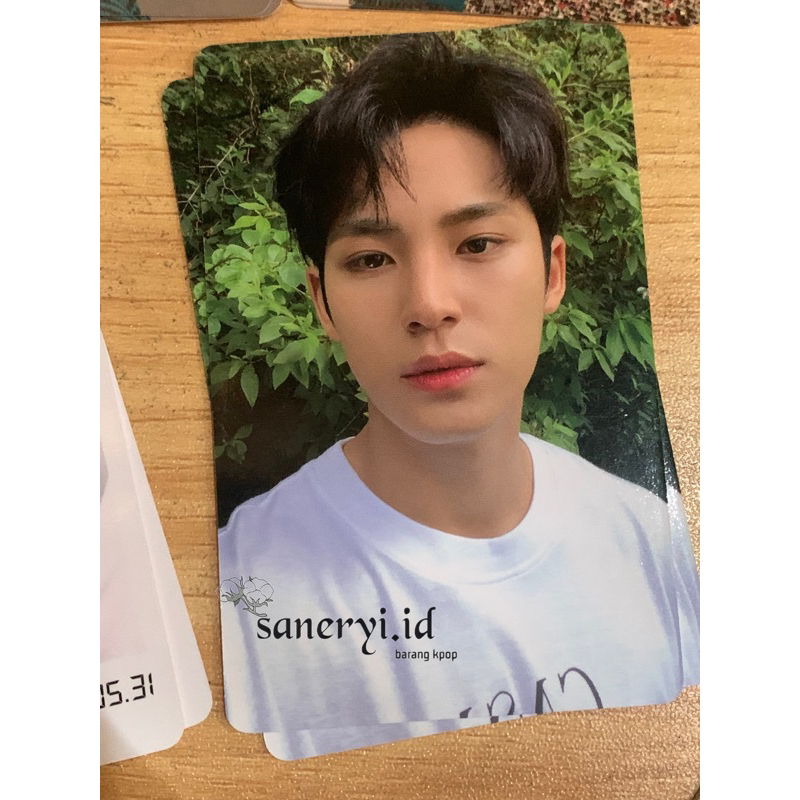 Jual MINGYU Seventeen official Dicon 101 photocard Kim Mingyu Seventeen ...