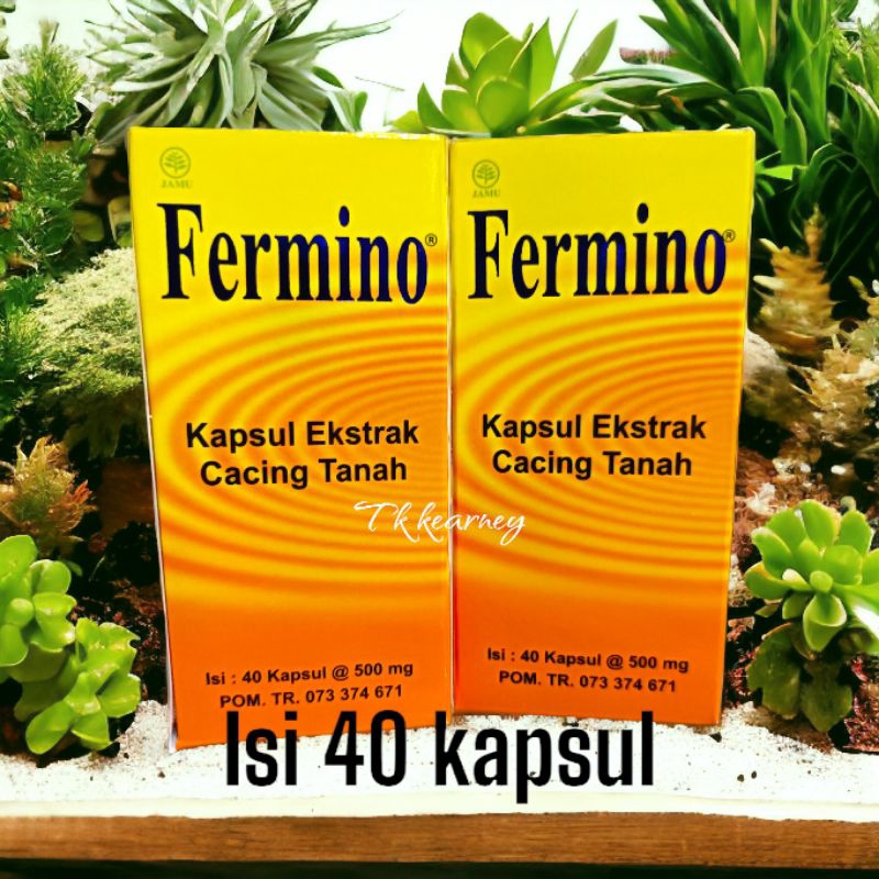 Jual FERMINO 40 kapsul ( cacing tanah) | Shopee Indonesia
