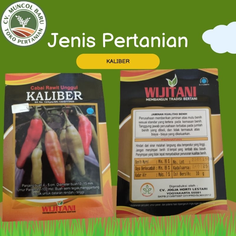Jual Benih Cabe Kaliber 10 Gram | Shopee Indonesia