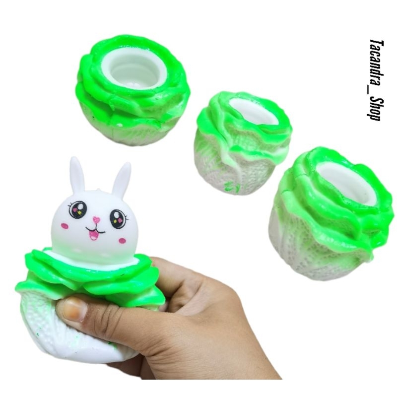 Jual Squishy Pop Up Squirrel Mainan Anak Silikon Tikus Katak Tupai ...