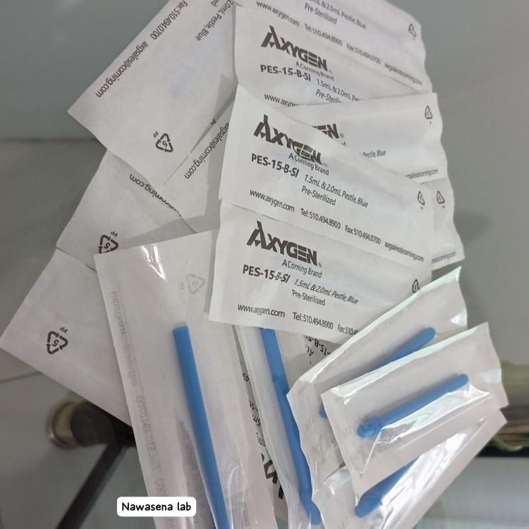 Jual Tissue Grinder Plastik Pestle Sterile for Sample Homogenizer ...