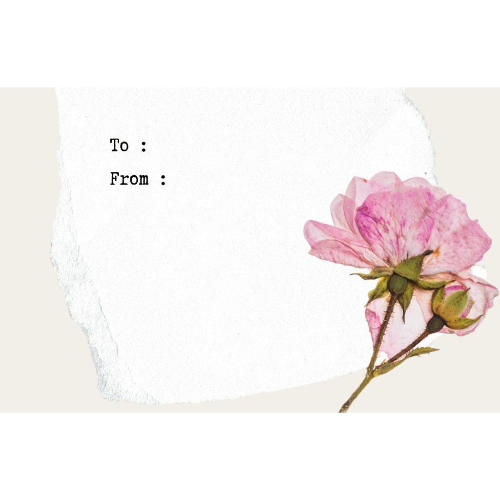 Jual Greeting Card BLANK Polos / Gift Card Kartu Polosan Kosong ...