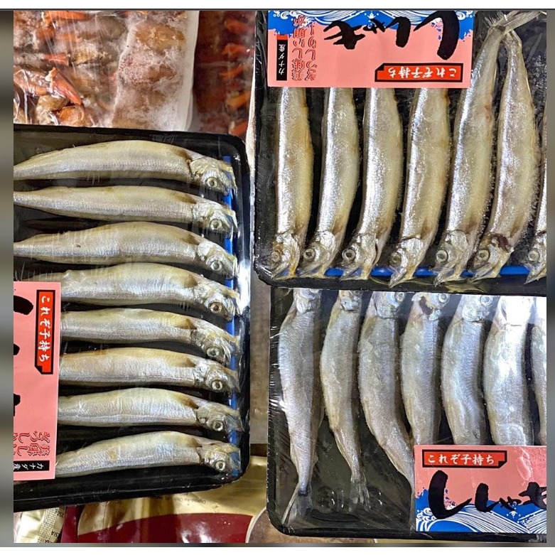 Jual Ikan Shisamo Fish Premium Full Telur 170gr Fresh Frozen ( Ikan ...