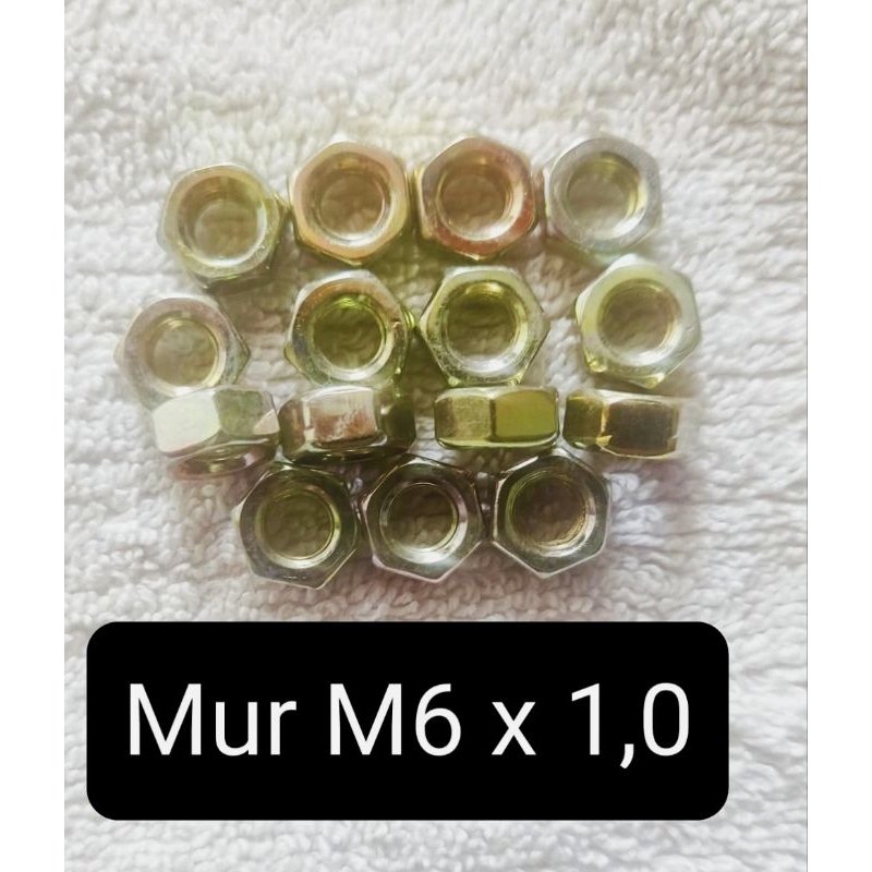Jual Mur M6 x 1,0 Fastener Bolt Nut Hex Hexagonal Fastener | Shopee ...