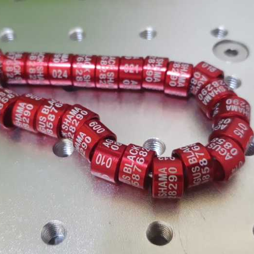 Jual Ring Merpati Dewasa Edisi 10 Pcs | Omah Ring | laser Standart ...