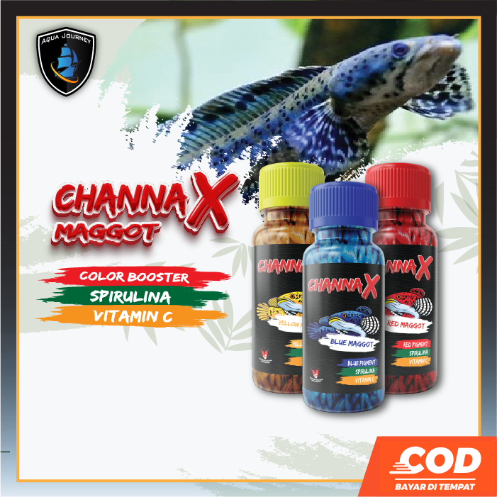 Jual Maggot Channa Color Booster Pakan Channa Premium Red Blue Yellow ...