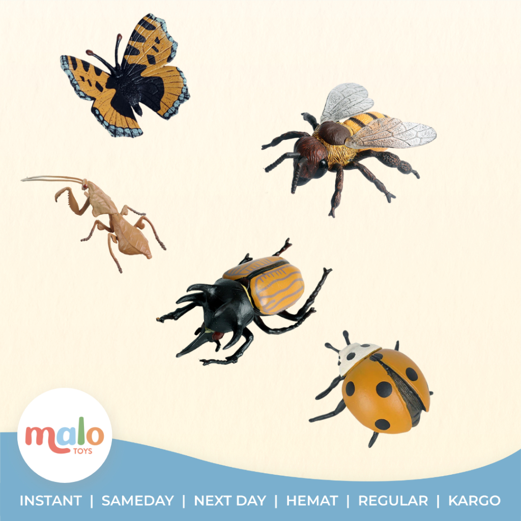 Jual MALOTOYS - Insects Figurine Insect Figure Mainan Model Toys Figur ...