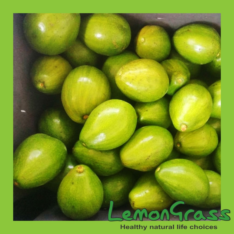 Jual Avocado Alpukat Mentega singaraja Bali Kirim Instan | Shopee Indonesia