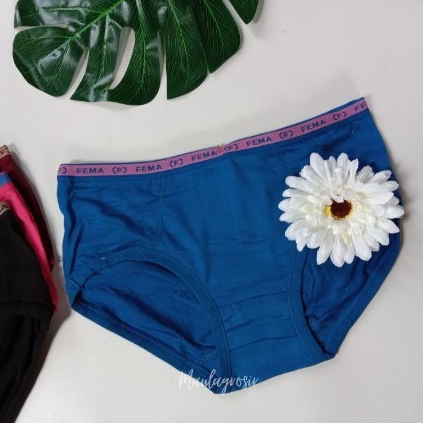 Jual CD Celana Dalam Wanita Dewasa Fema Original Lusinan 12 PCS | Shopee Indonesia