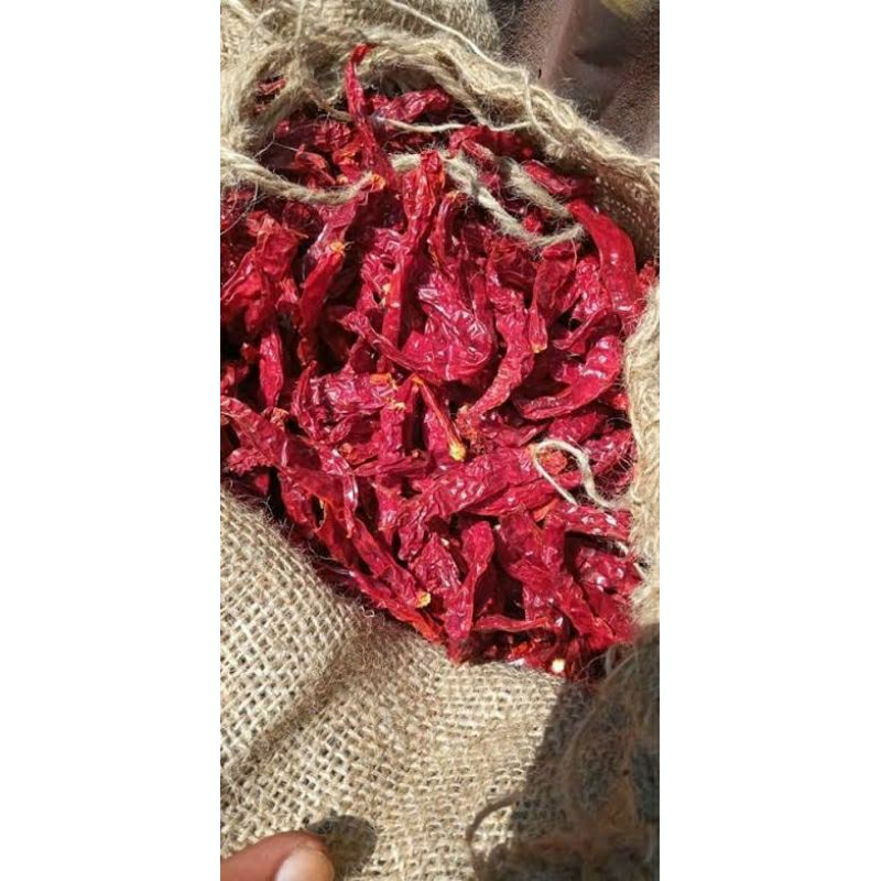 Jual Cabe kering keriting india harga karungan 10kg | Shopee Indonesia