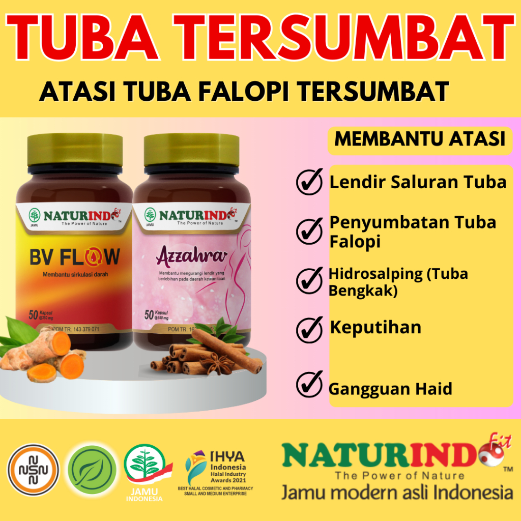 Jual Tuba Falopi Tersumbat Obat Hidrosalping Obat Tuba Falopi Tersumbat ...