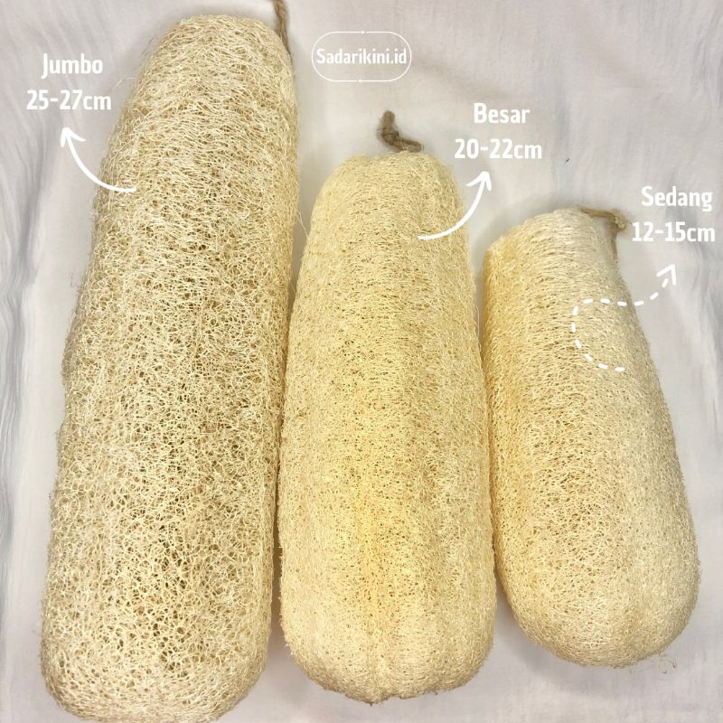 Jual Premium Loofah Sponge Ramah Lingkungan Natural Gambas Sponge Cuci ...