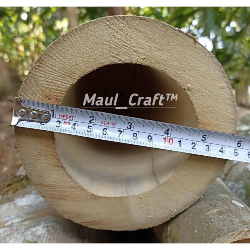 Jual Bambu Petung Bulat Tanpa Ruas P 40-50 cm / Bambu Petung Arku ...