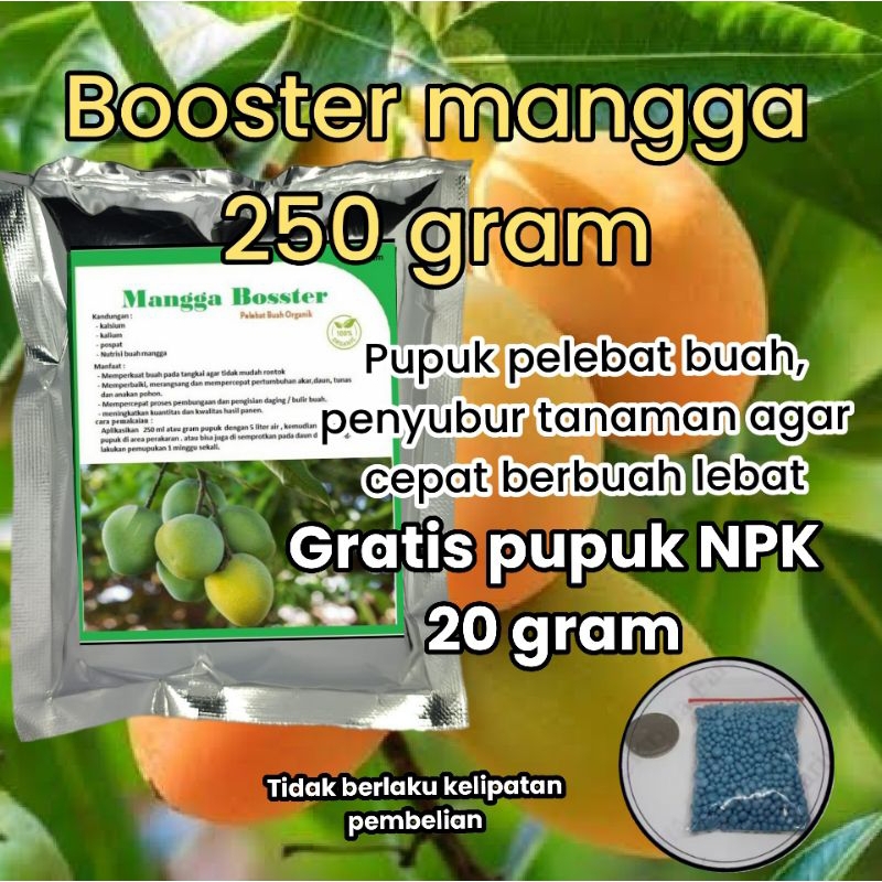 Jual Pupuk Organik Booster Mangga Perangsang Buah Agar Cepat Berbuah ...