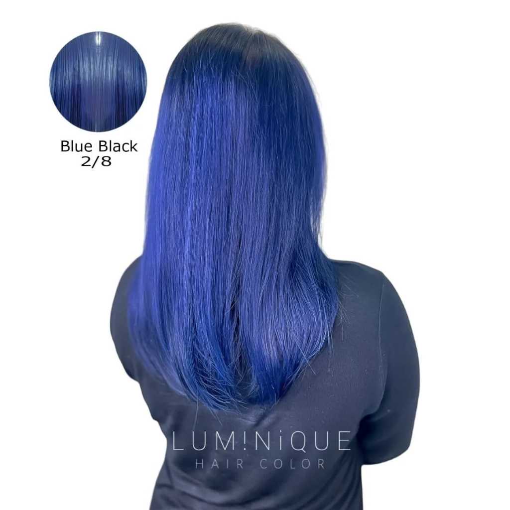 Jual LUMINIQUE Hair Color 100ml - Cat / Pewarna Rambut Semir | Shopee ...