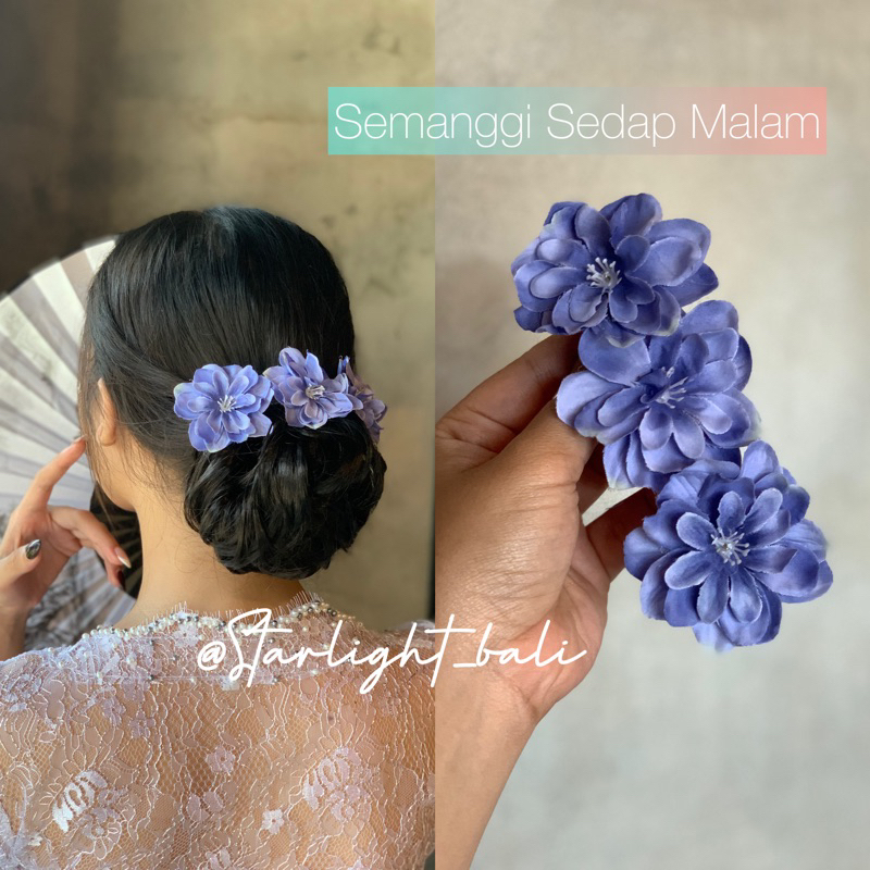 Jual Semanggi Sedap Malam /SEMANGGI SEDAP MALAM / semanggi bunga ...