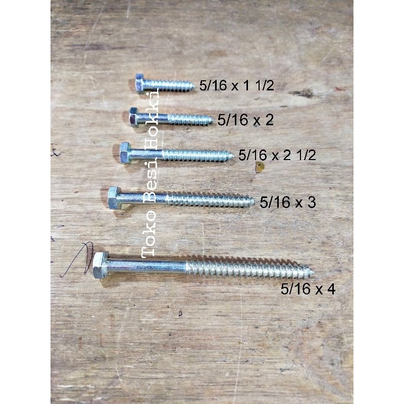 Jual ( 10 Pcs ) Baut Deskrup / Deskrup Baut Cacing (5/16) | Shopee ...