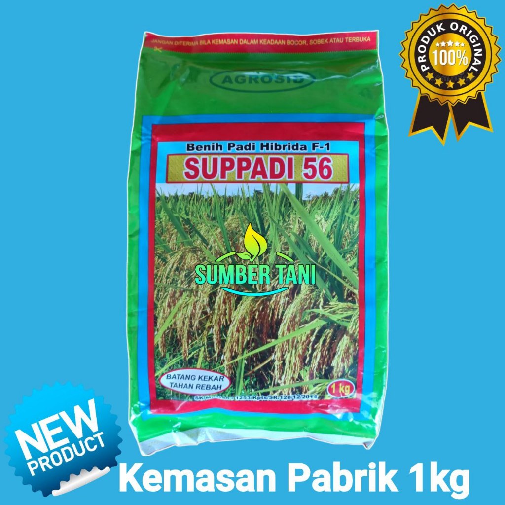 Jual Benih Padi SUPADI 56 - Kemasan 1Kg | Shopee Indonesia