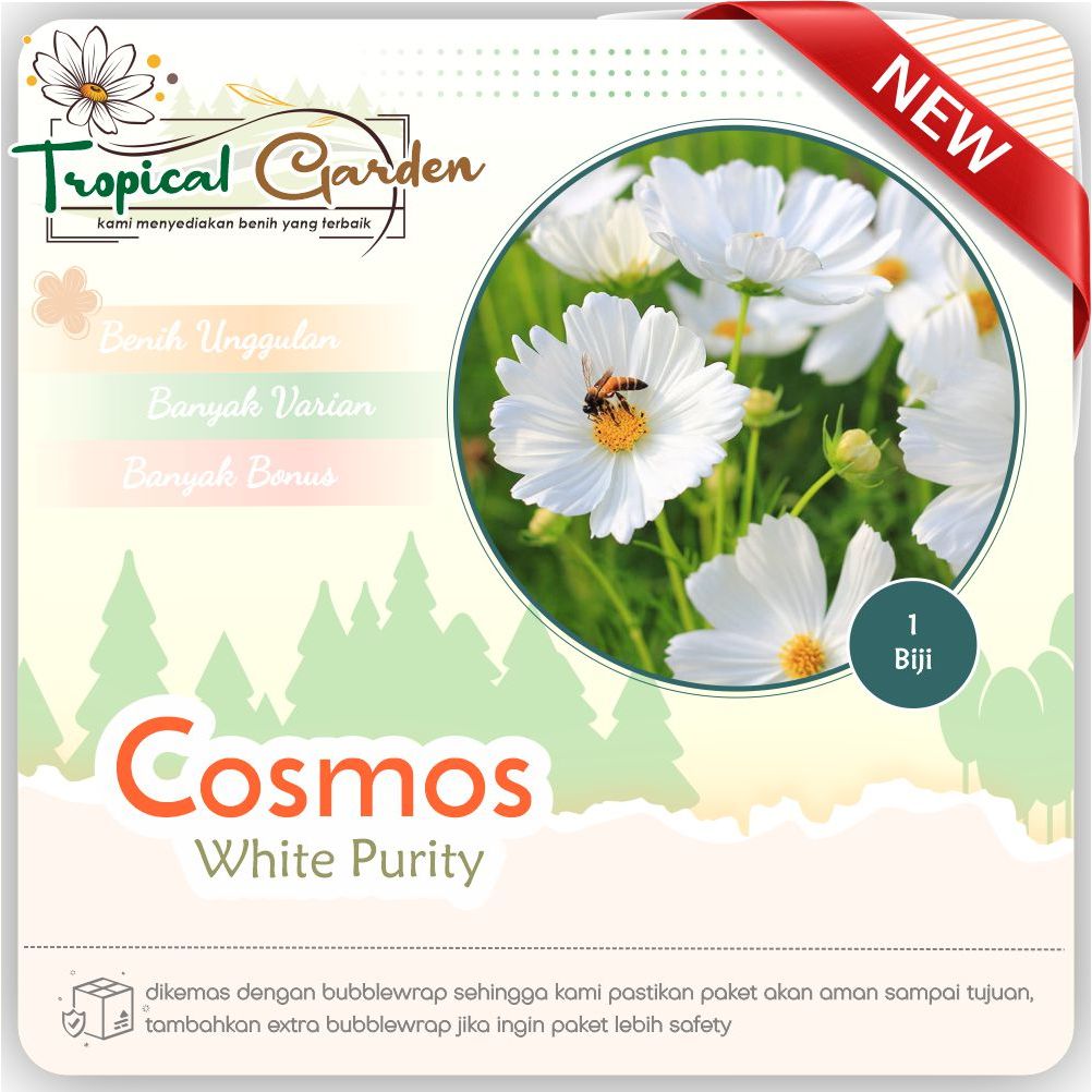 Jual Tropical Garden Biji Benih Bunga Cosmos Purity White COD | Shopee ...