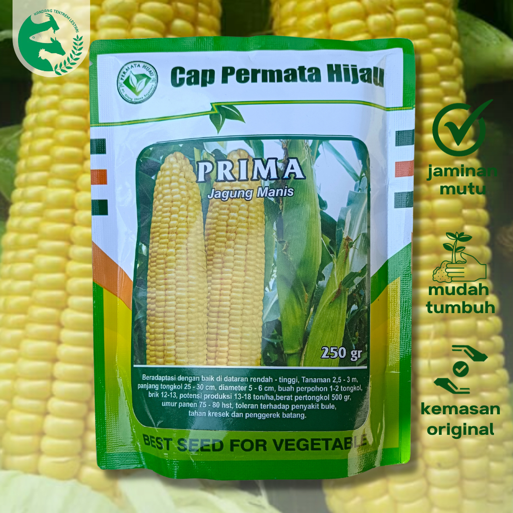 Jual Benih Jagung Manis PRIMA 250 Gram Original Permata Hijau Unggul ...