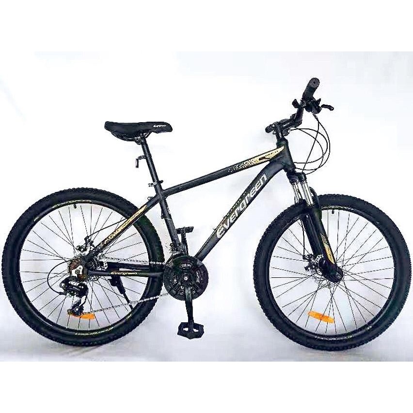 Jual Sepeda gunung mtb 26 inch frame alloy evergreen 24 speed rem ...